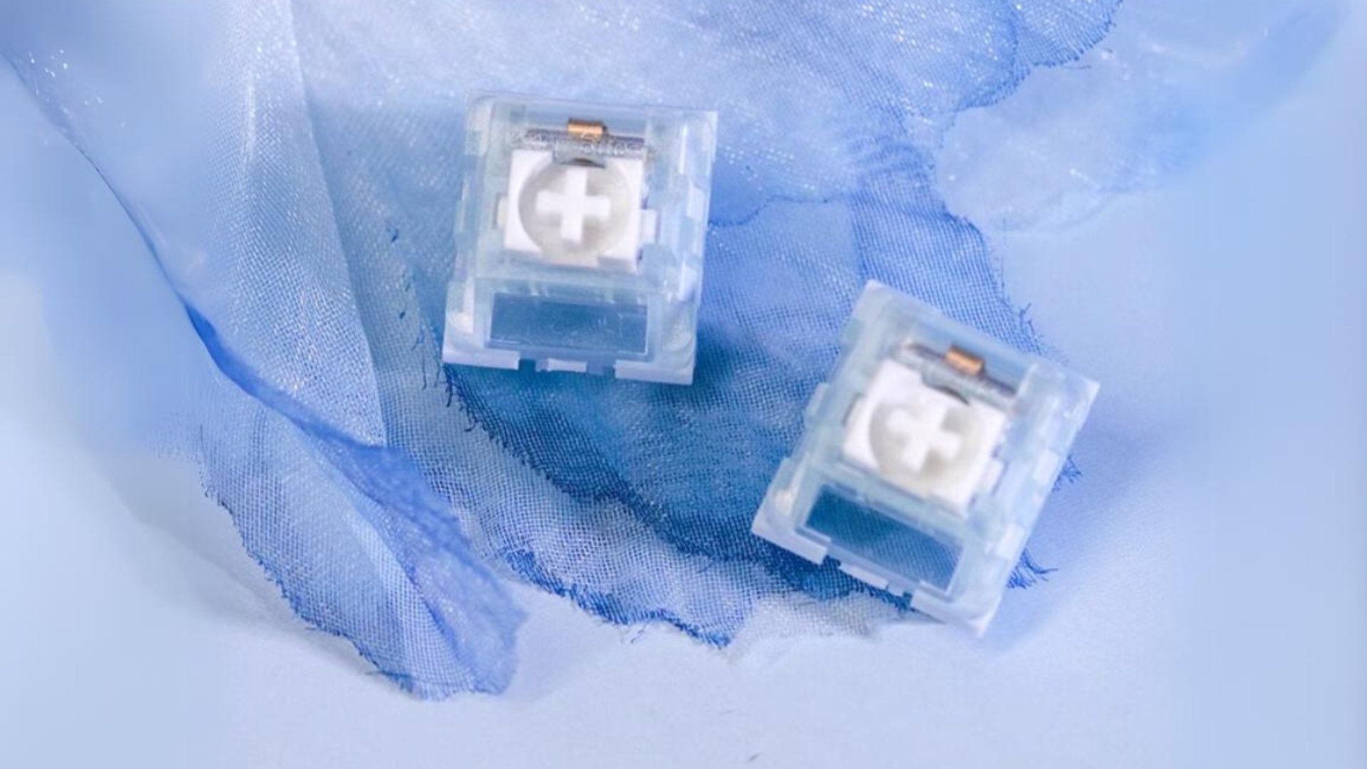 Kailh MX Platycodon Switch: A Hi-Fi switches – DIYKEY